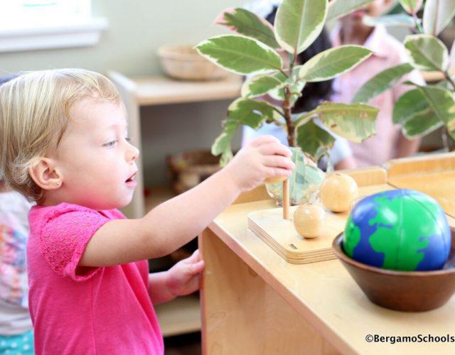 Toddler | Bergamo Montessori Schools